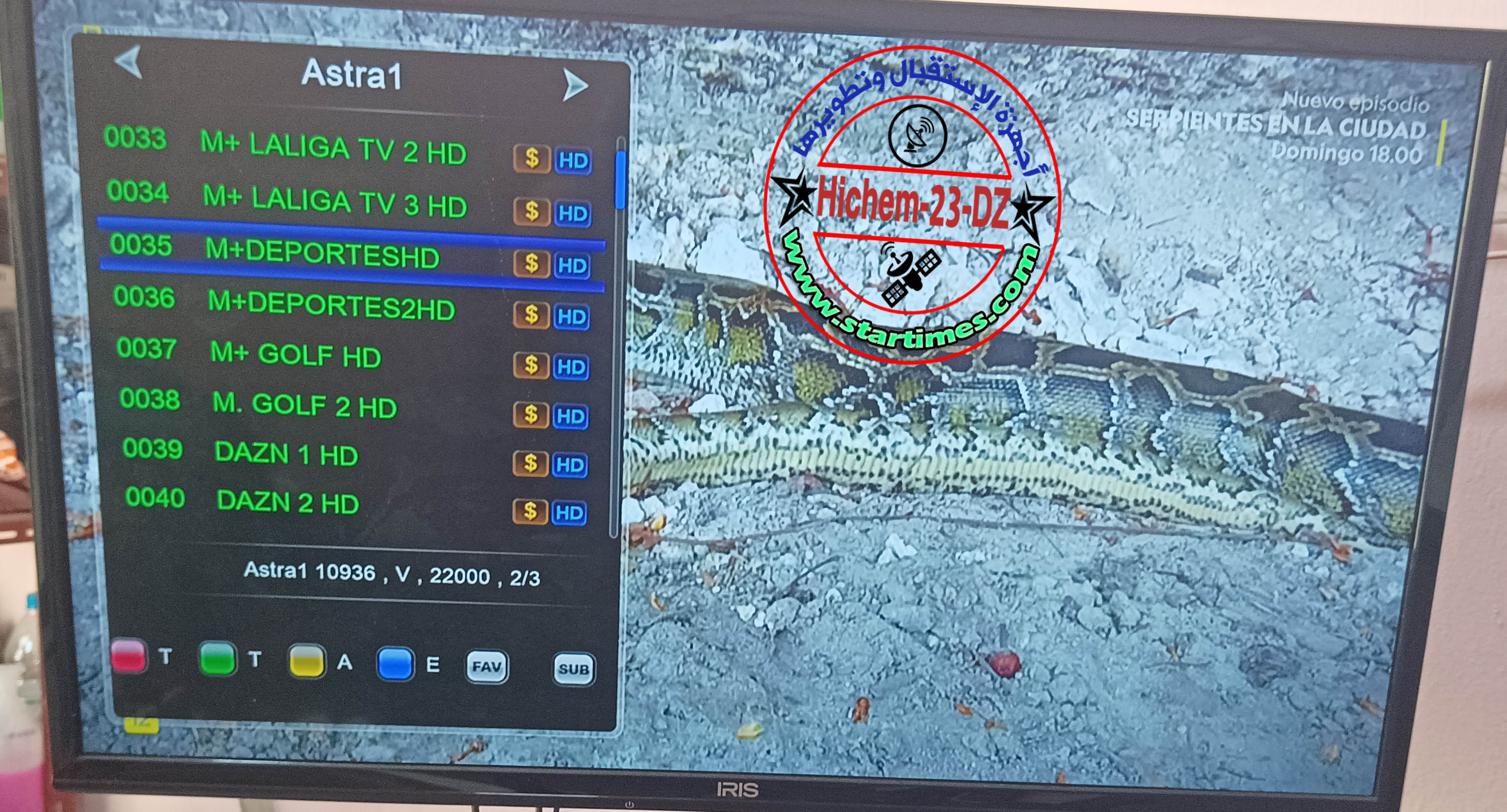 حصريا على ستارتايمز شرح شامل للمولودين الجديدين Cristor TH600-600CA